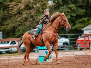 Cass County Fair | Cassopolis, Michigan